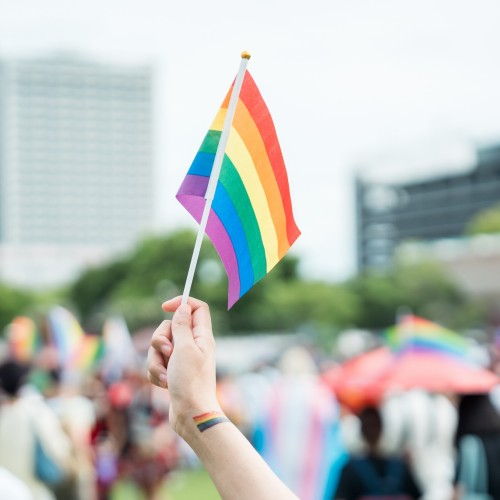 Lesbian, Gay, Bisexual & Trans+ (LGBTQ+) :: County Durham and ...